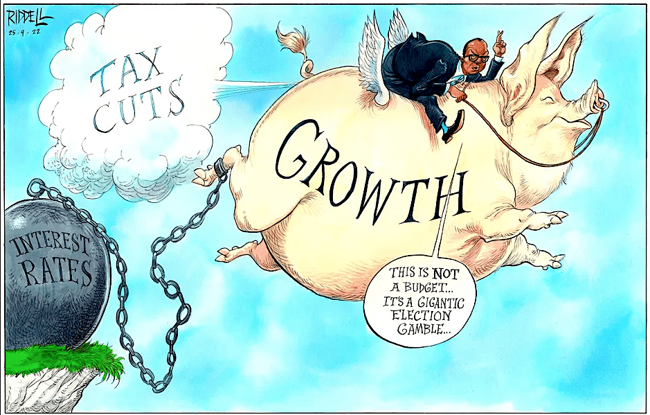 GROWTH (for some!) - Opher's World